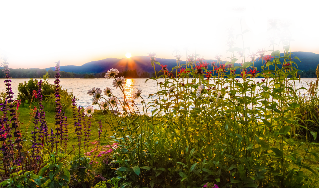 The Hedges on Blue Mountain Lake - Be part of the Tradition